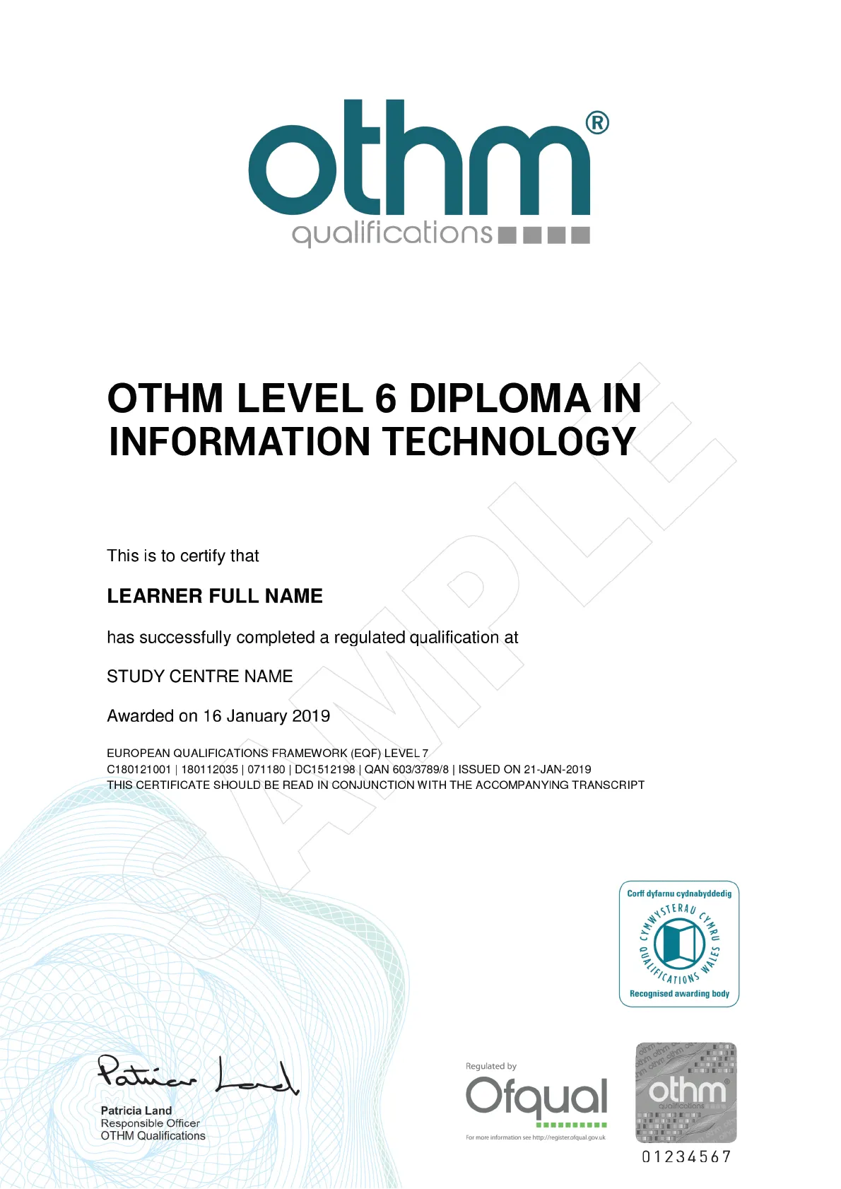 Level 6 Professional Diploma in Information Technology - OTHM - SNATIKA